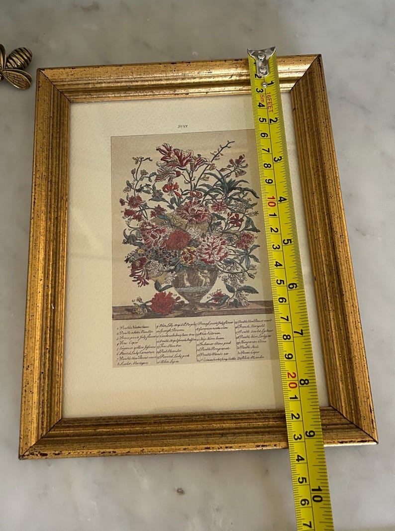 Vintage JULY Botanical Print 12 Months of Flowers: Robert Furber/pieter ...
