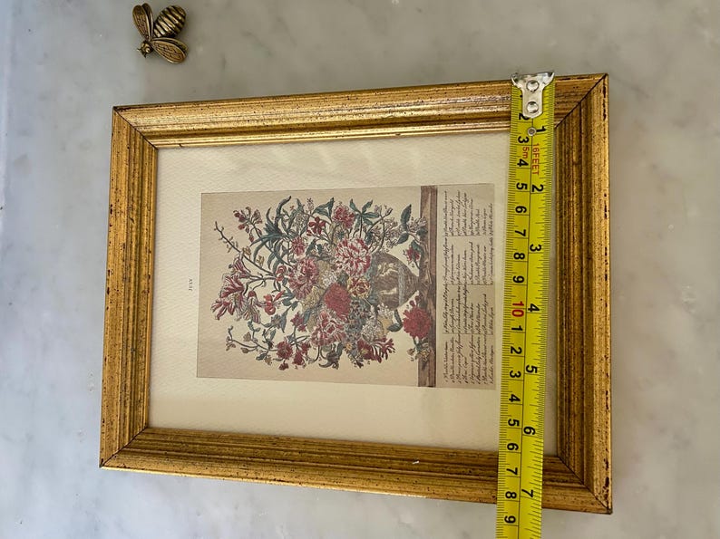 Vintage JULY Botanical Print 12 Months of Flowers: Robert Furber/pieter ...