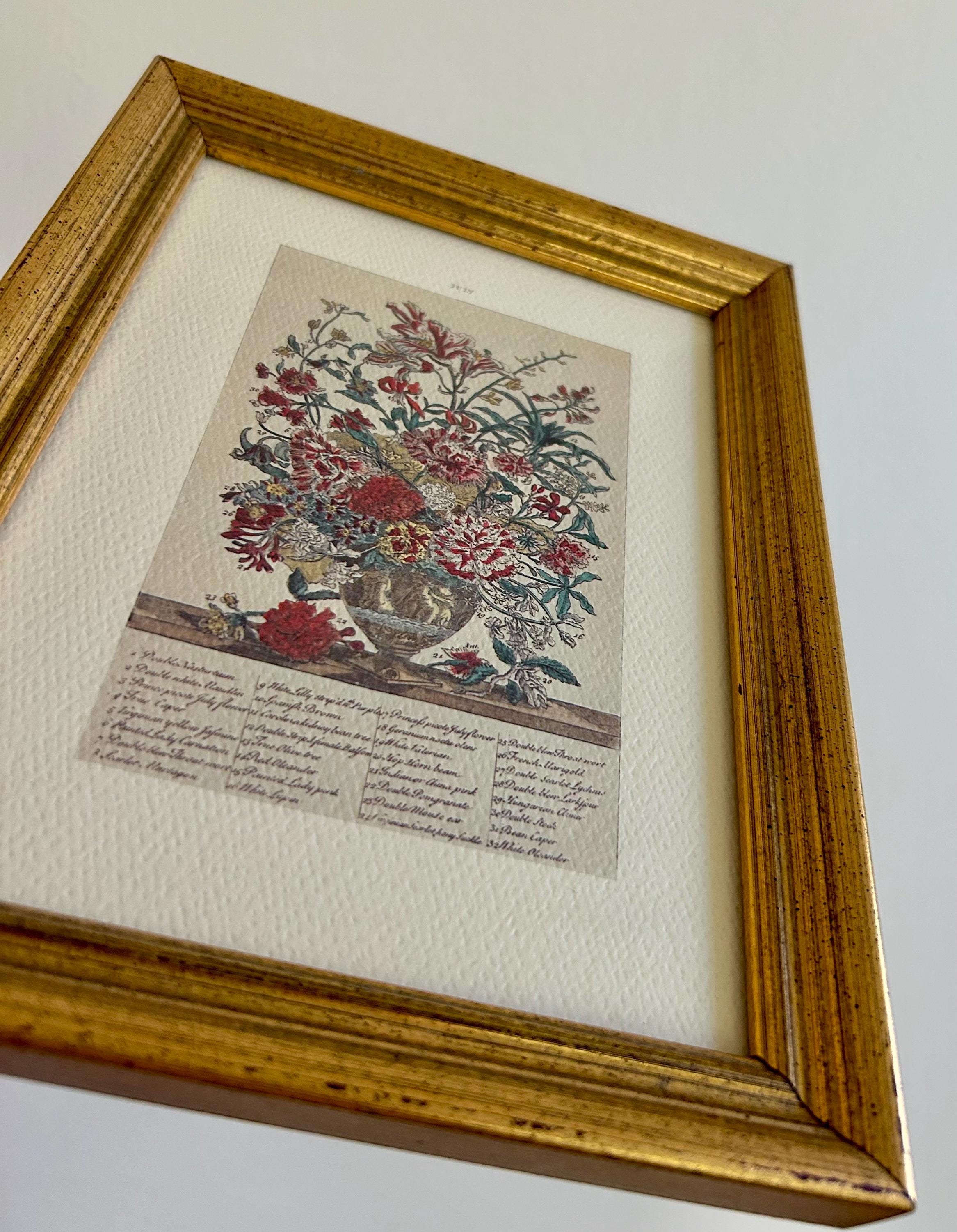Vintage JULY Botanical Print 12 Months of Flowers: Robert Furber/pieter ...