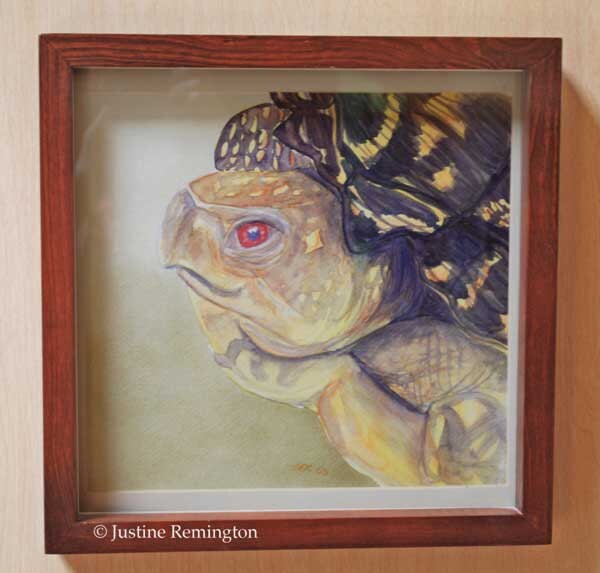 Garden Box Turtle - Original Painting, Watercolor - Etsy