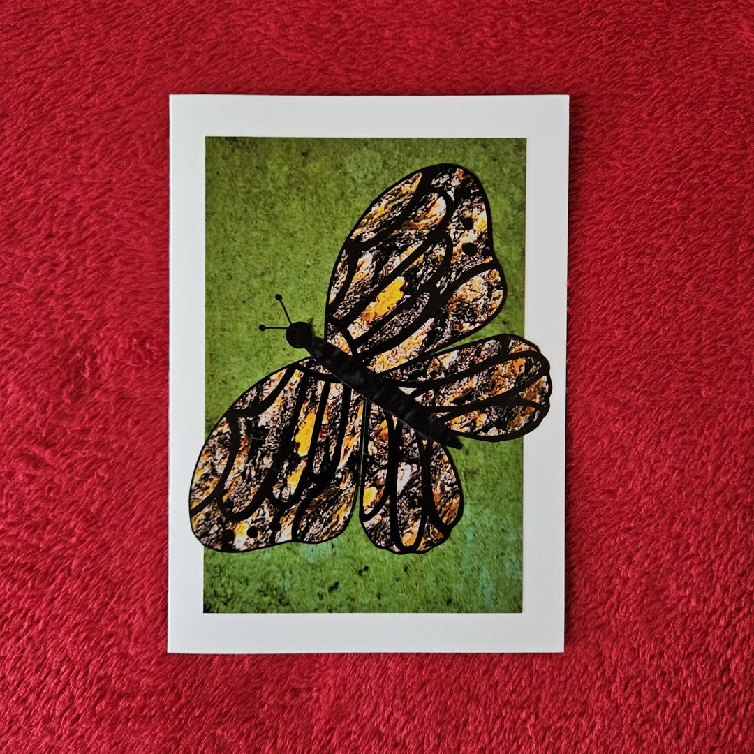 Bark Monarch Butterfly Fluttering Into Spring - Etsy
