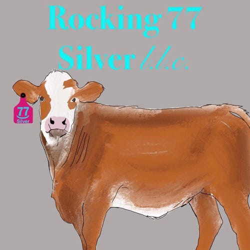 Rocking77Silver - Etsy