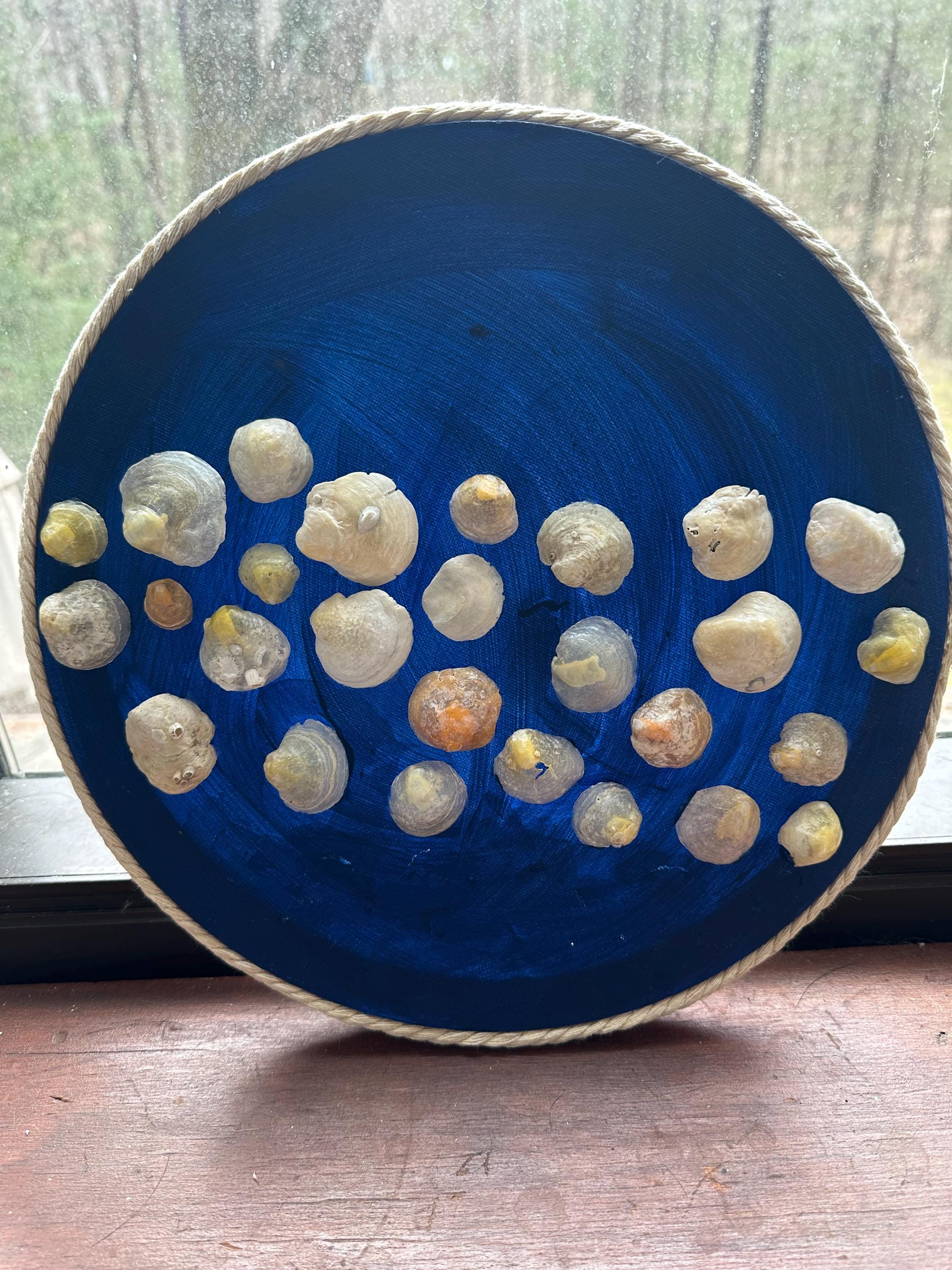 Sea Shell Canvas Art - Etsy