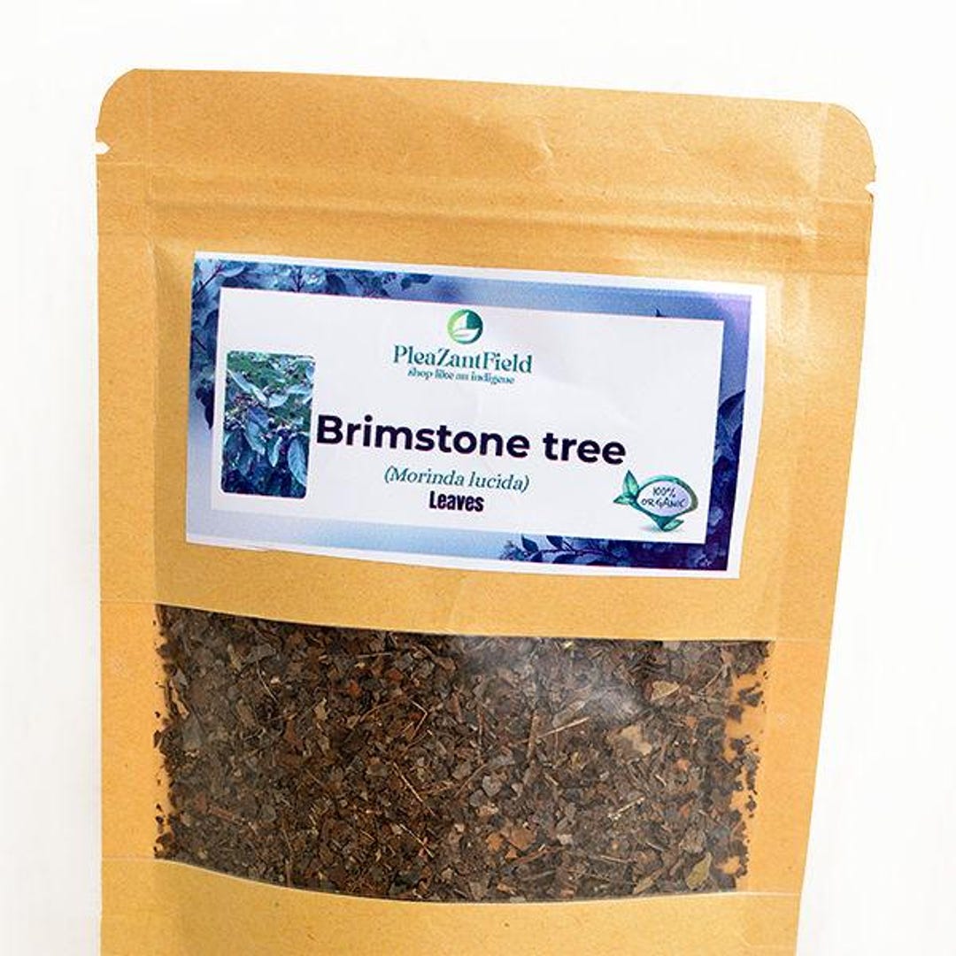 Morinda Lucida| Brimstone Tree - Dried Leaves - Etsy