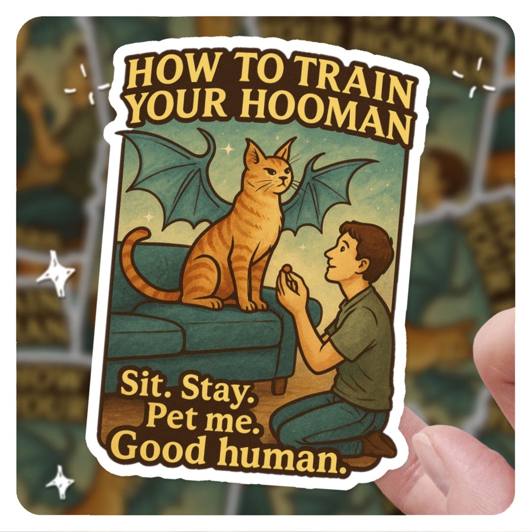 How to Train Your Hooman Sticker – Funny Dragon Cat Parody | Sit Stay ...