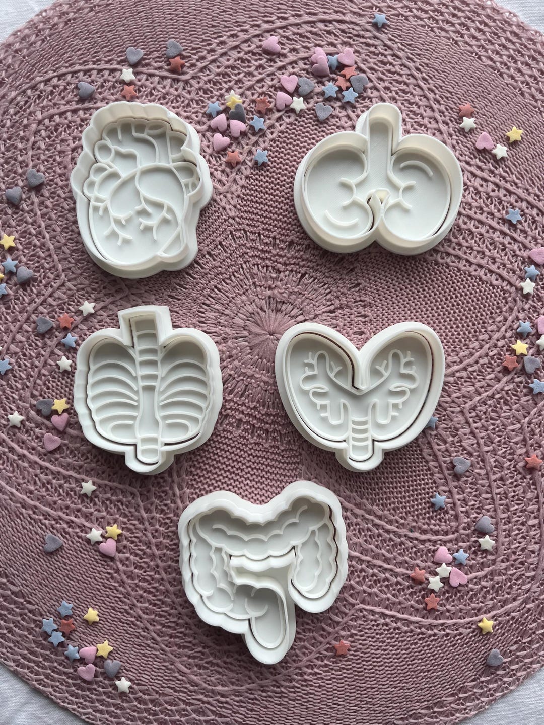 3D Printed Anatomy Cookie Cutter Set – Human Organ Cookie Cutters ...