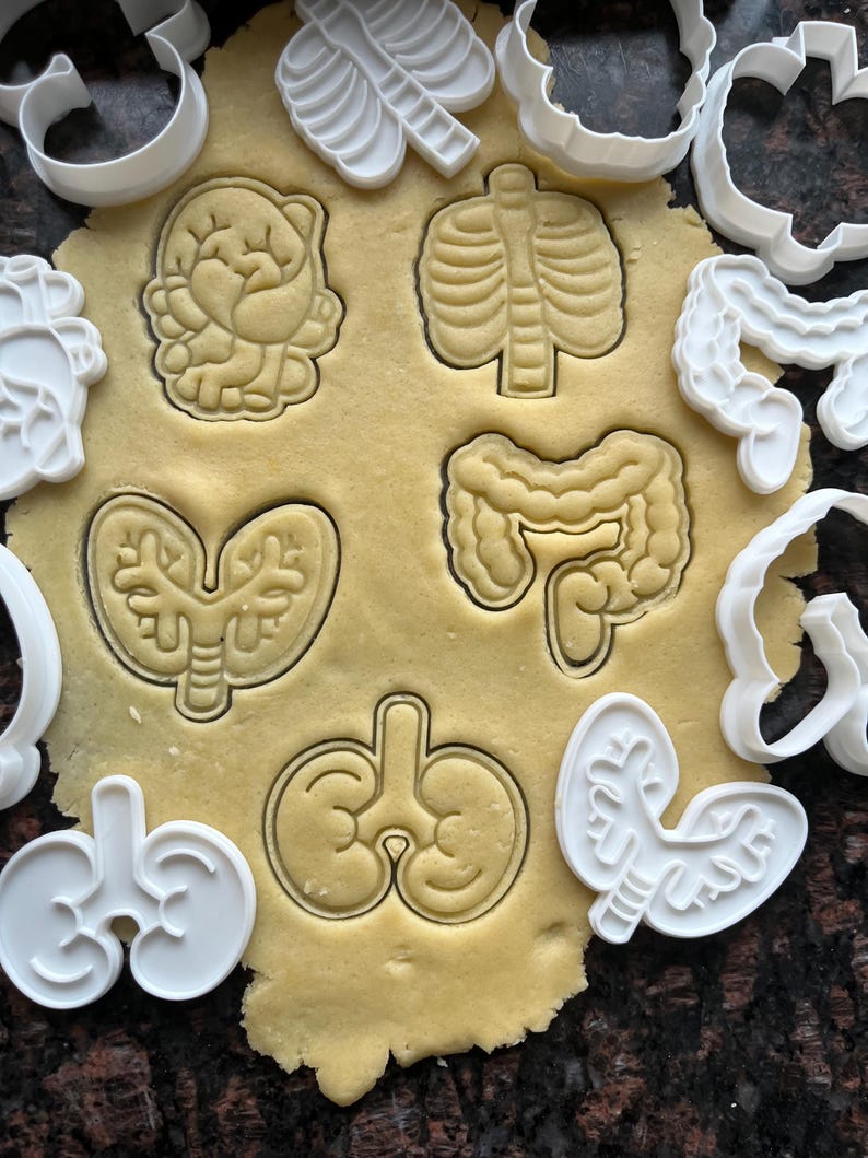 3D Printed Anatomy Cookie Cutter Set – Human Organ Cookie Cutters ...