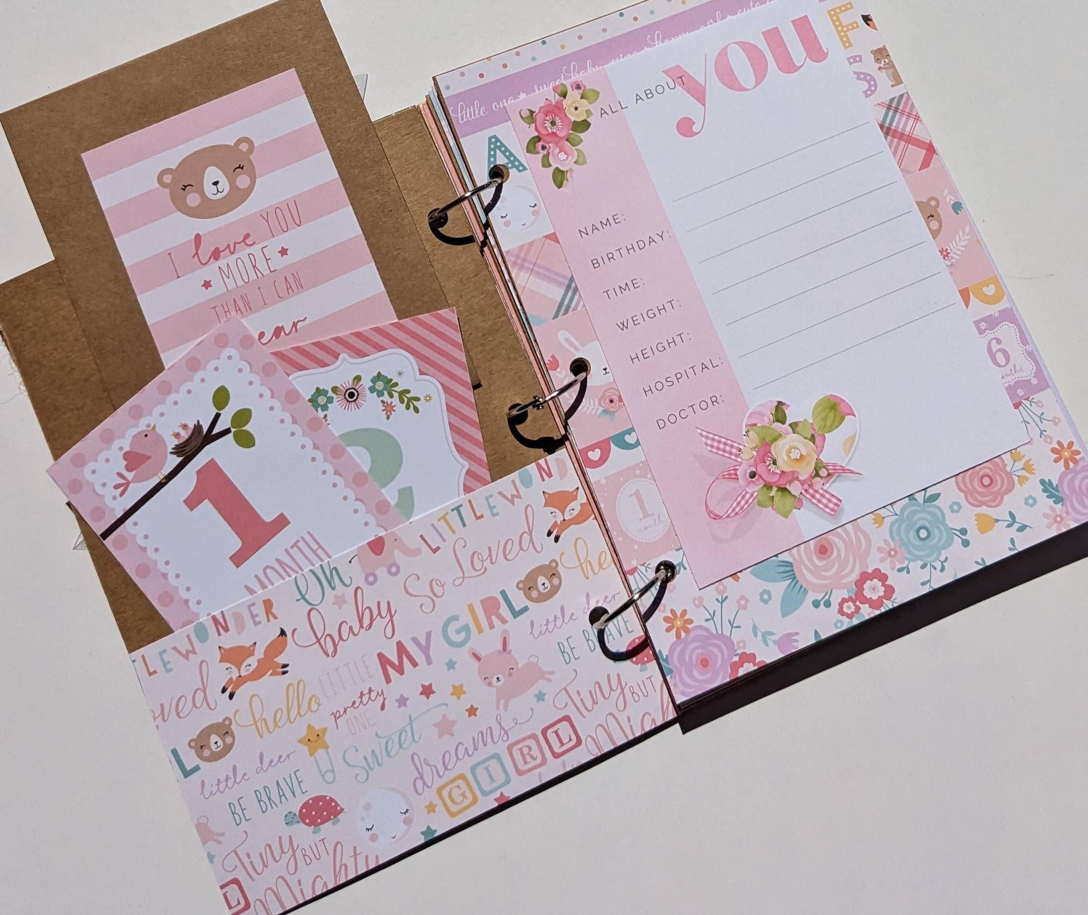 Welcome Baby Girl Baby Book, Journal, Baby's First Year, Premade Album ...