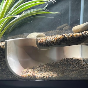 Serpent Suite - Terrarium Reptile Hide/cave - Etsy