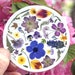 Spring Pressed Flower Sticker, Pressed Flower Art, Sticker Art, Circle ...
