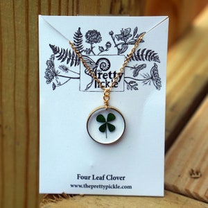 Real Four Leaf Clover Gold Circle Setting Necklace, Pressed Four Leaf ...
