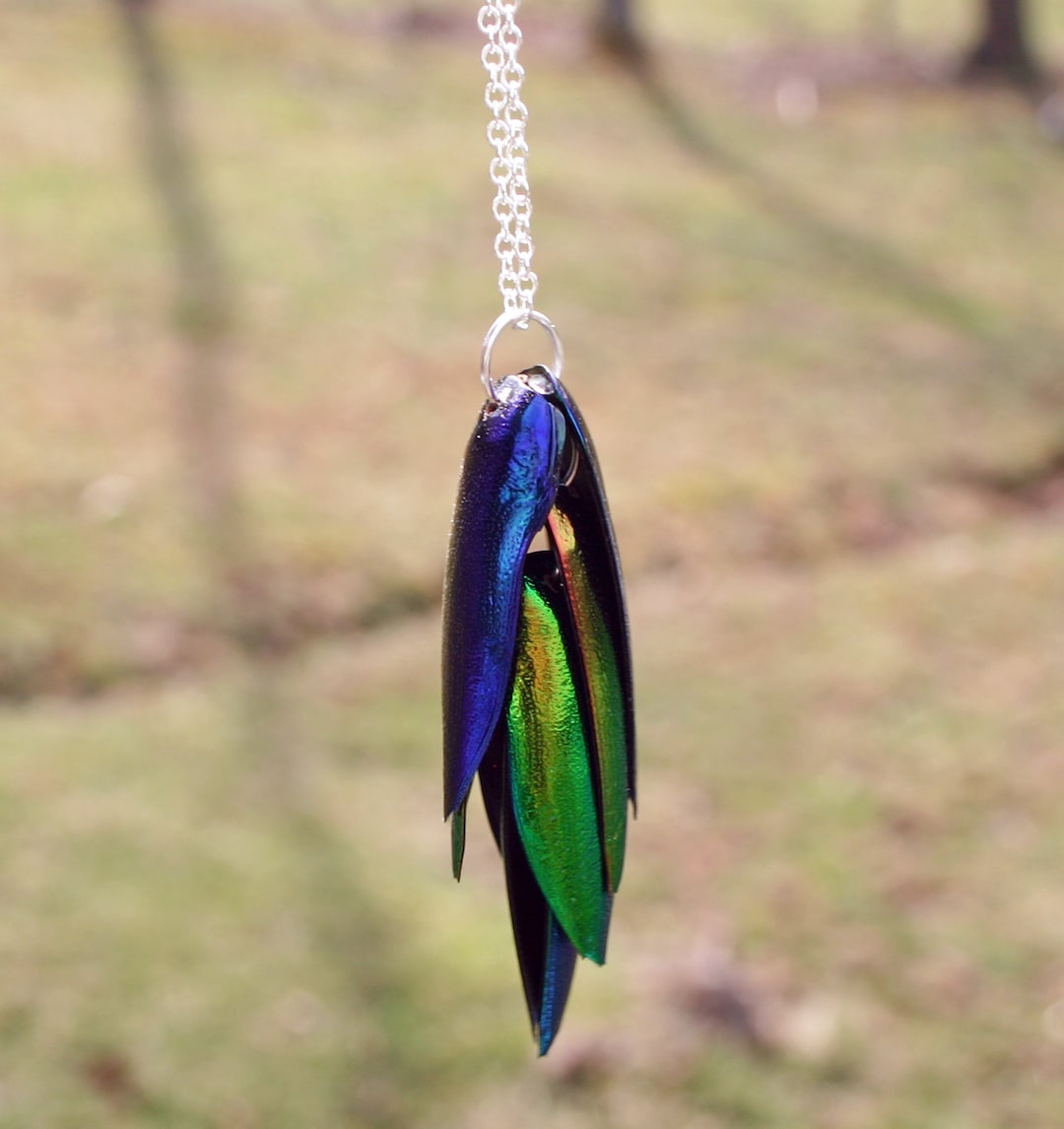 Green Jewel Elytra Beetle Wing Necklace, Elytra Sternocera Beetle Wings ...