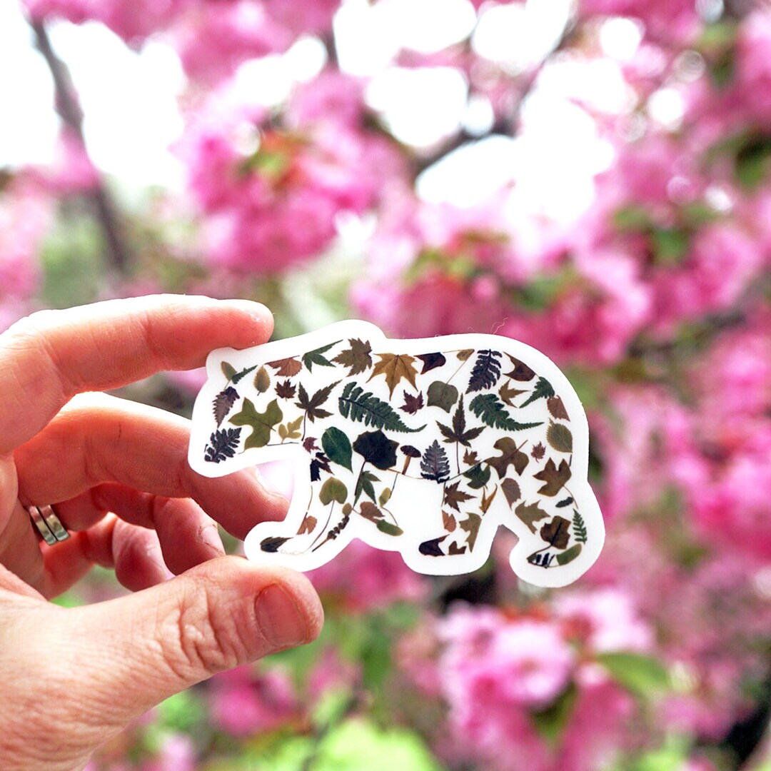 Botanical Bear Sticker, Pressed Flower Sticker, Sticker Art, Bear ...