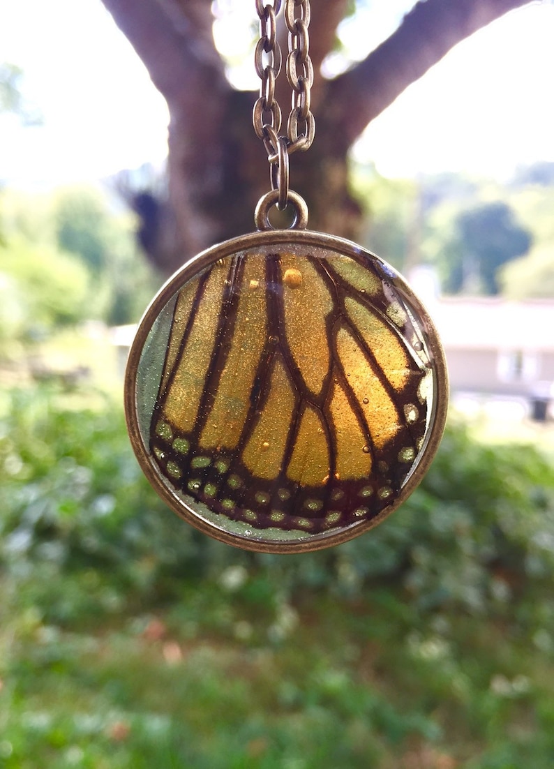 Real Monarch Butterfly Wing Necklace - Etsy