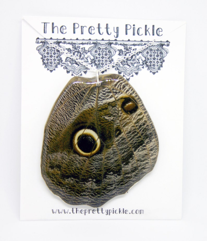 Owl Eye Butterfly Hind Wing Brown Moth Real Butterfly Wing | Etsy