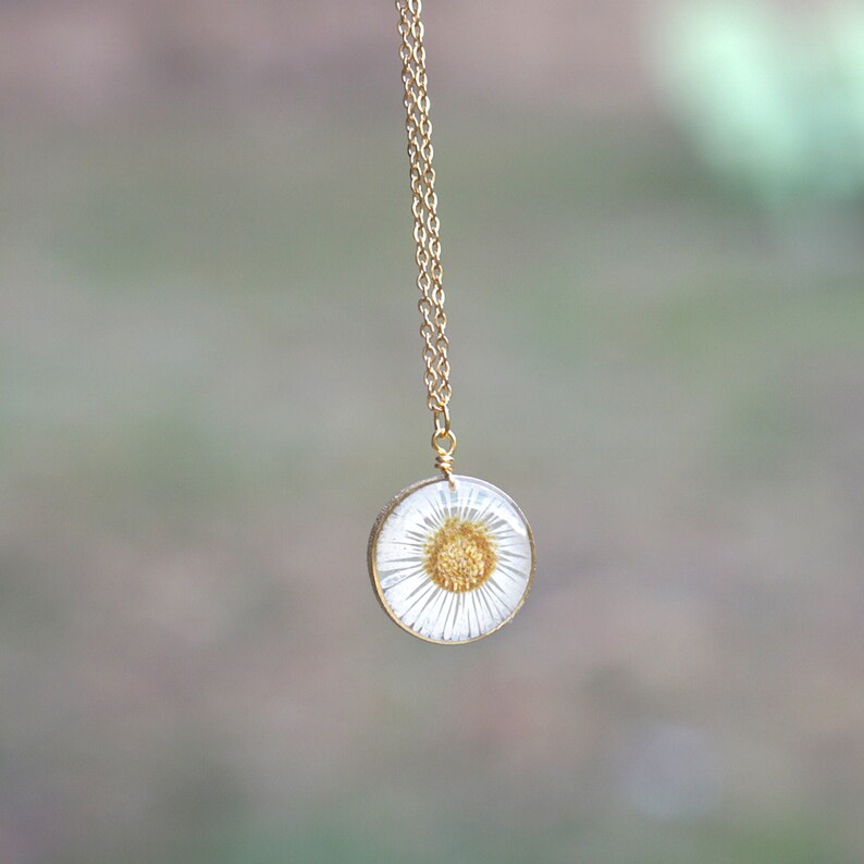 Real Daisy Gold Circle Setting Necklace, Pressed Daisy, Pendant ...