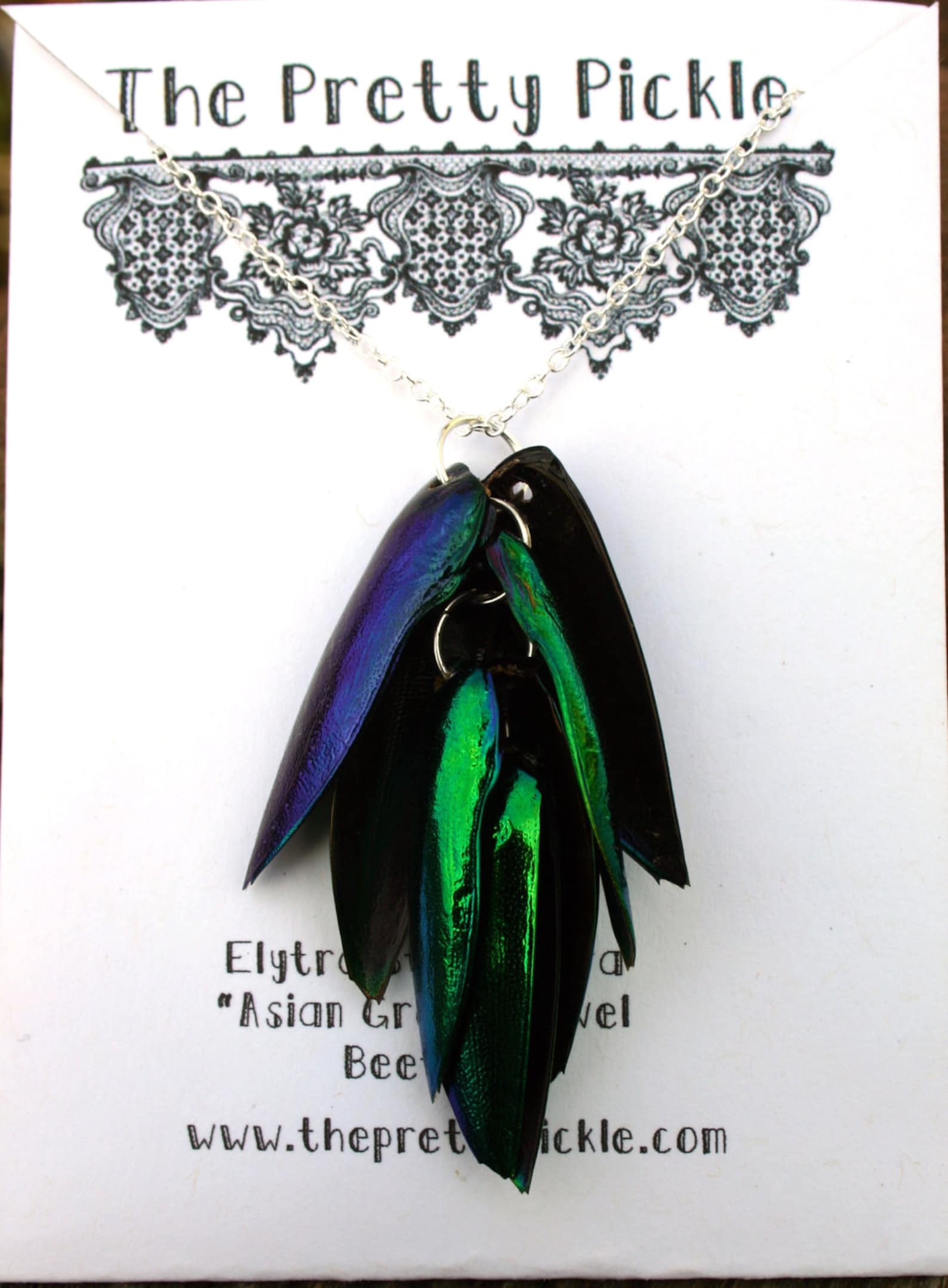 Green Jewel Elytra Beetle Wing Necklace, Elytra Sternocera Beetle Wings ...