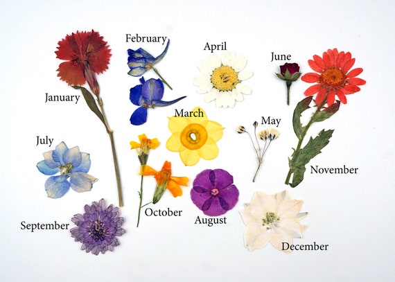 Customizable Birth Flower Necklace Multiple Birth Flowers - Etsy