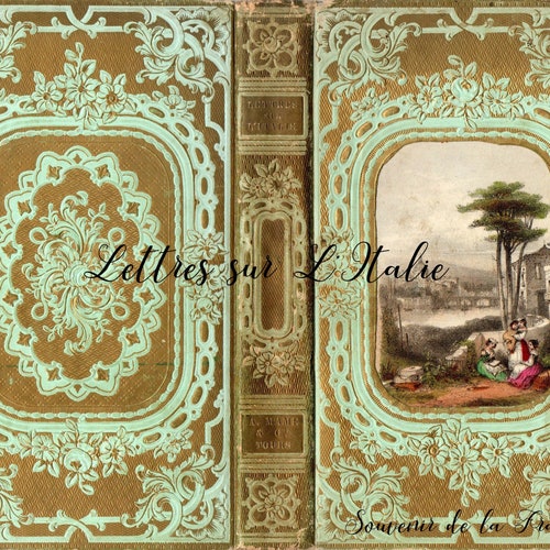 Faux Antique French Book Cover Printable - Etsy