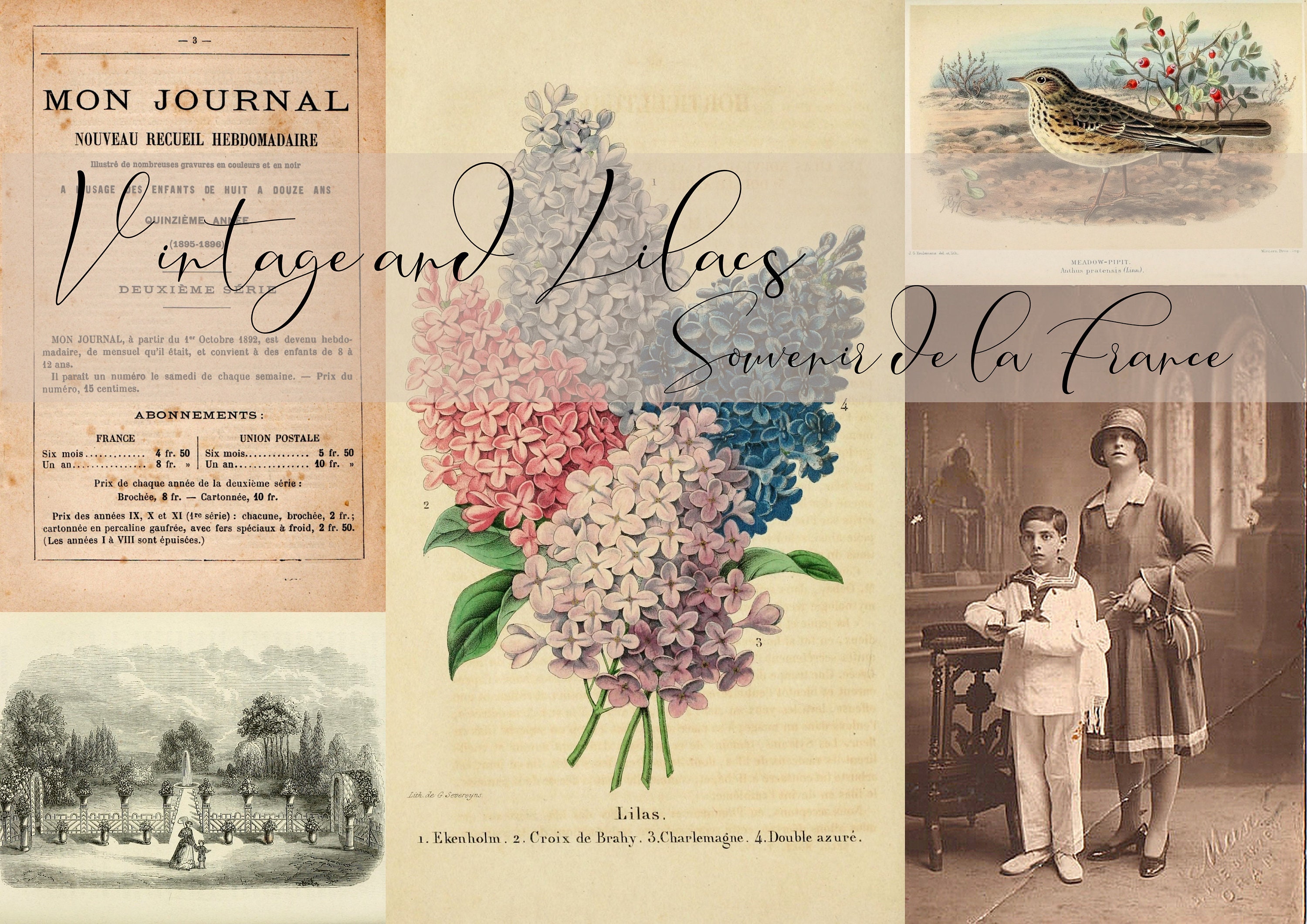 Lilacs and Vintage - French Ephemera Printables - a Good Number From ...