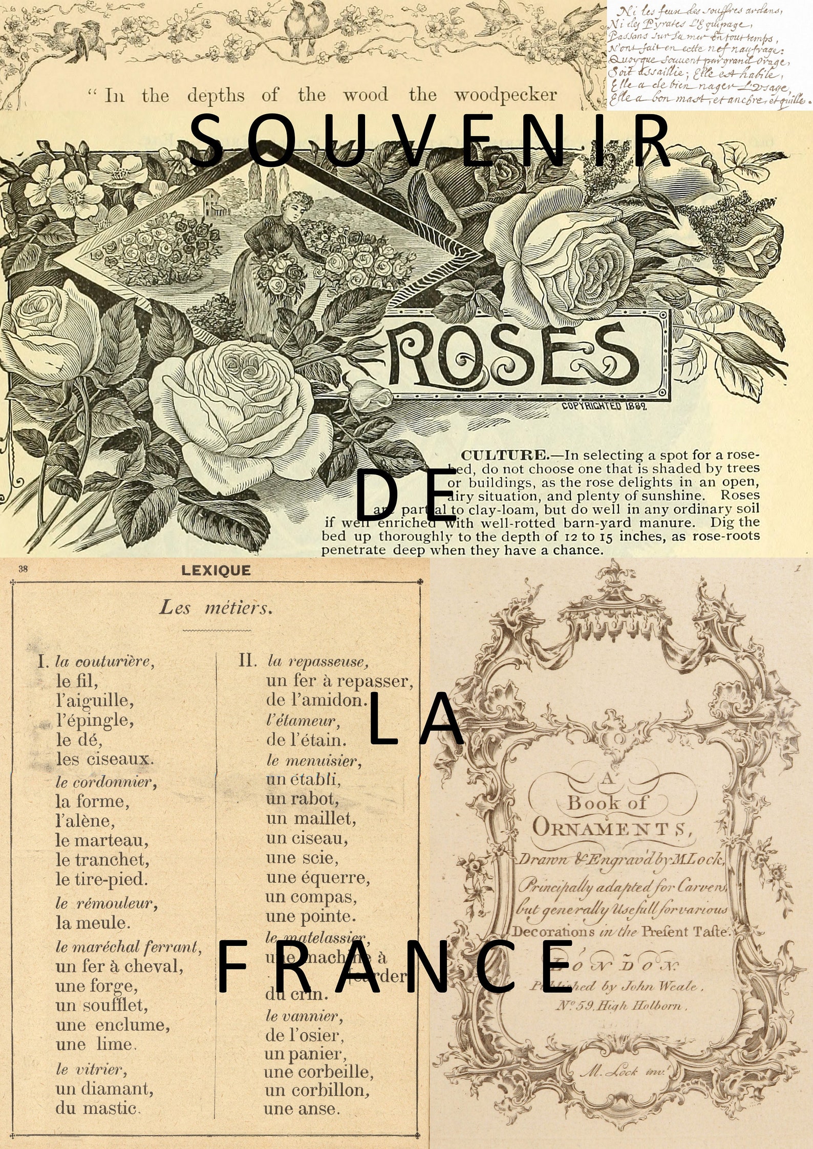 French Ephemera Digital Sheets a Good Number From Authentic Documents ...