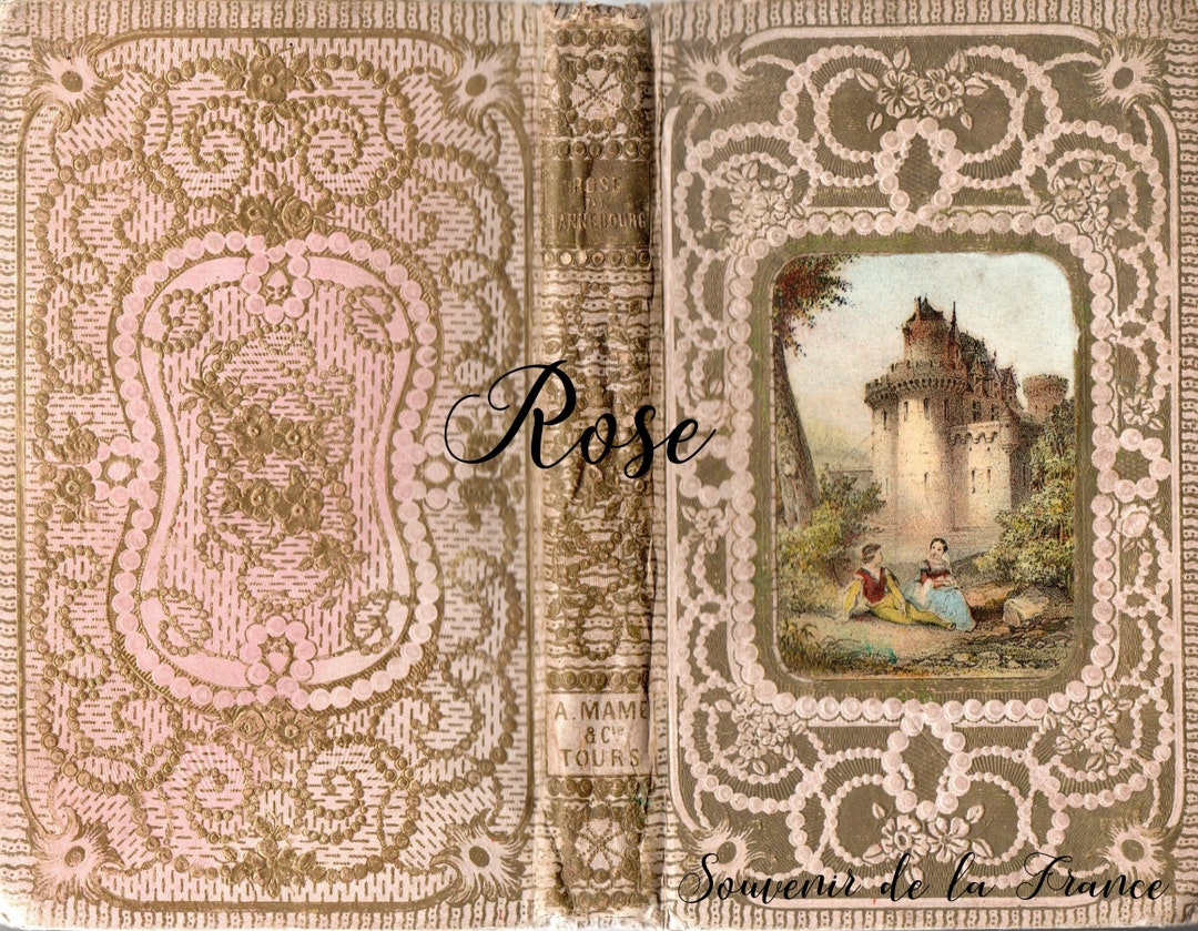 Antique French Faux Book Cover From Book 'rose De - Etsy