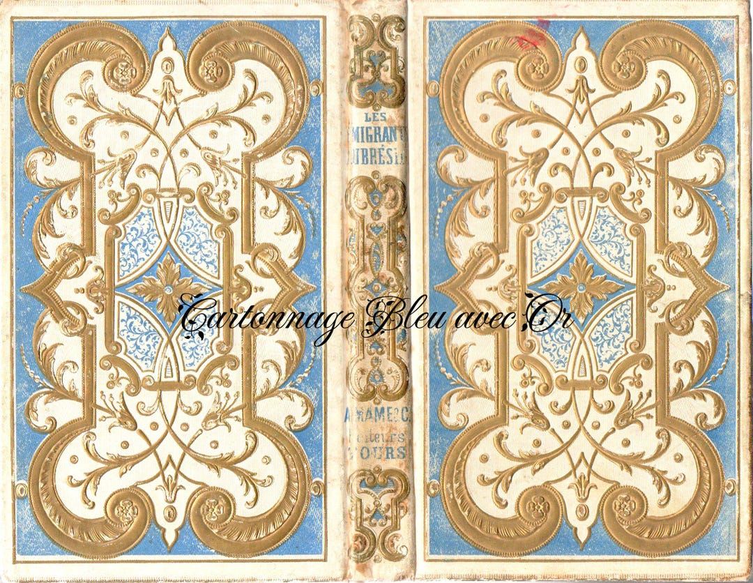 Antique French Faux Book Cover 1847 - US Letter Size - Etsy