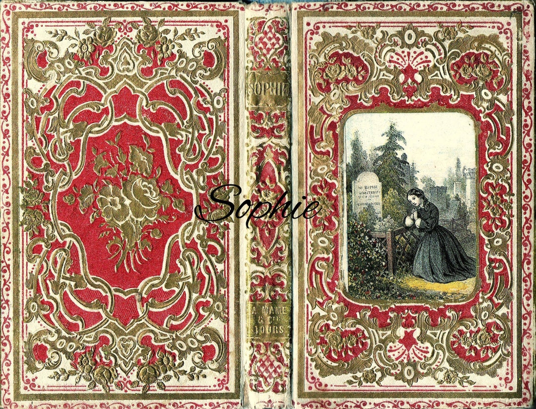 Antique French Faux Book Cover From 1859 - SOPHIE - Les Bienfaits De La ...