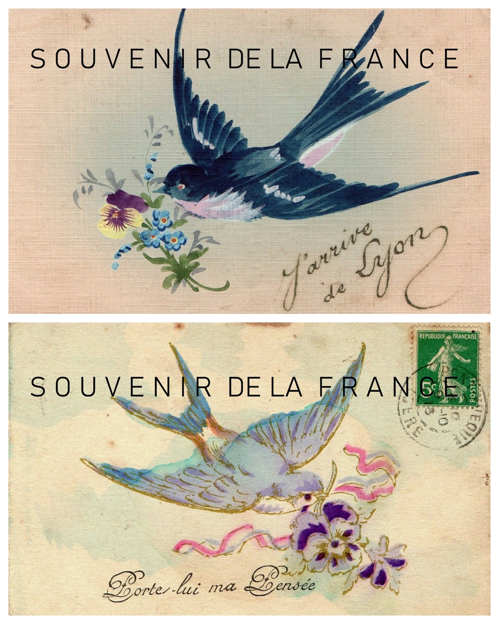 French Painted Bird Postcards - Antique - Etsy