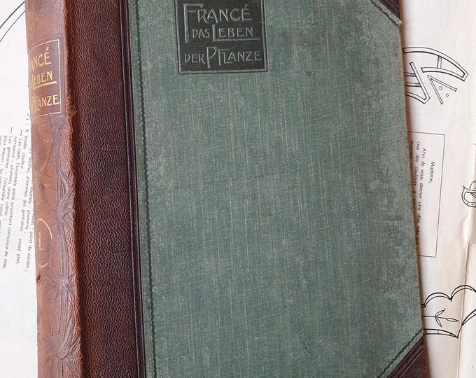 Beautiful Large Antique Book Cover - Size 10" X 7" X 2 1/4" Spine ...