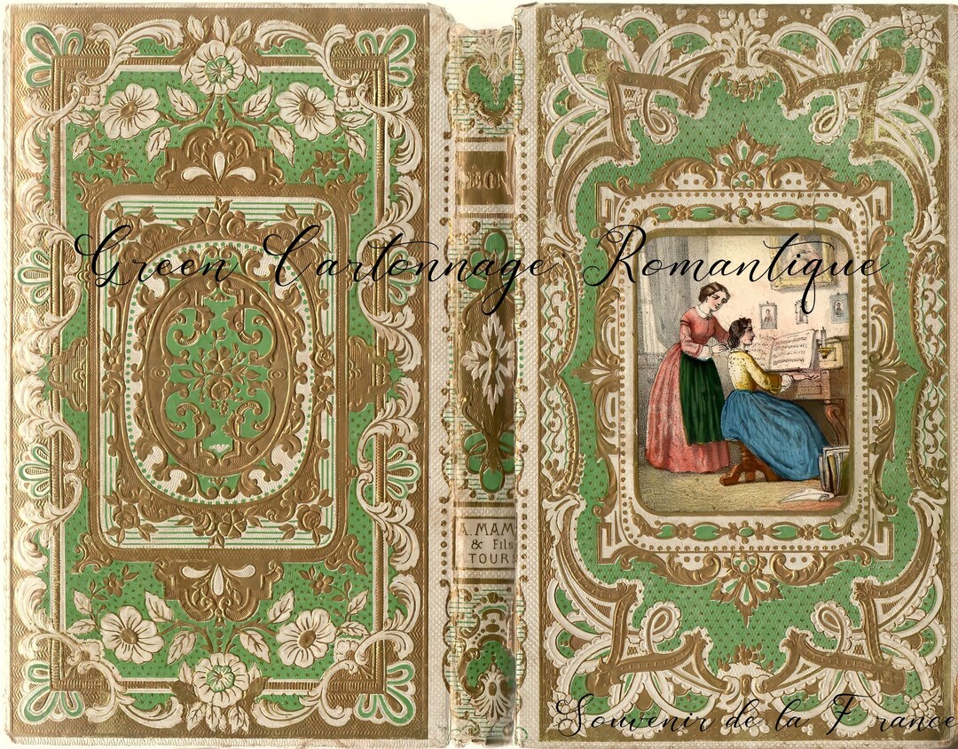 Antique French Faux Book Cover From 1864 - Title: Léonie D'ernouville ...