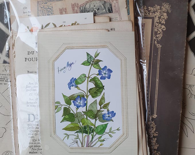 French Book Page Pack From Many Different Books in All Sizes and ...