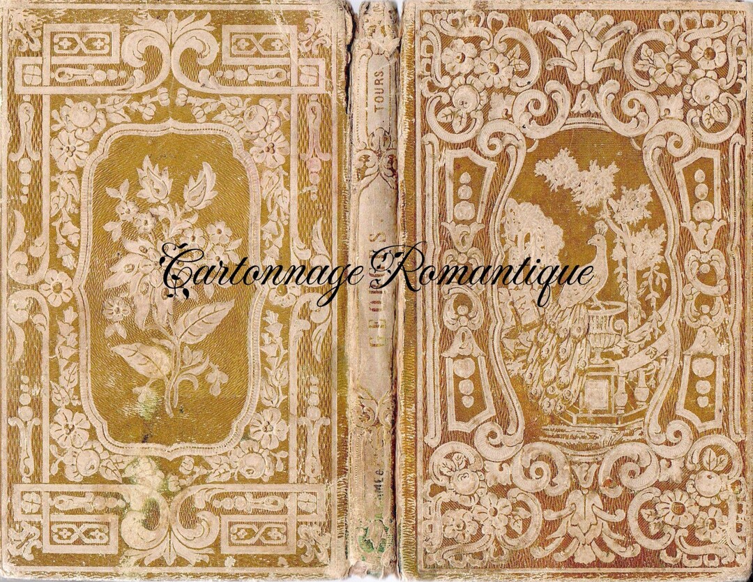 NEW!! Antique French Faux Book Cover 1854 - US Letter Size - Etsy