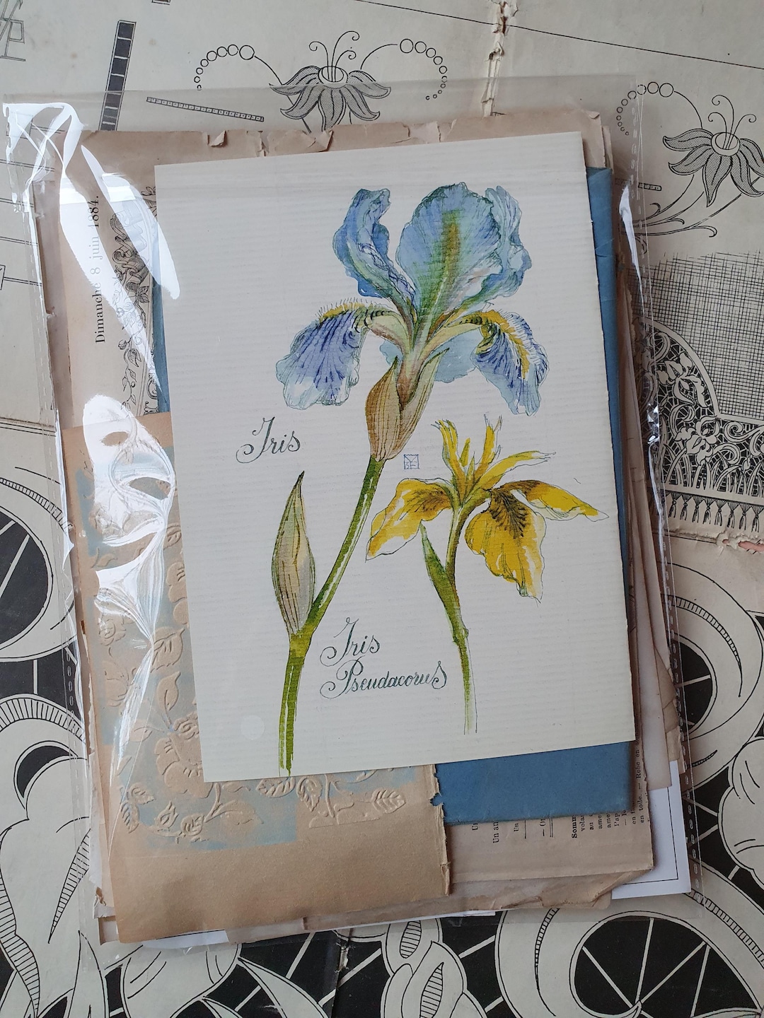 French Book Page Pack From Many Different Books in All Sizes and ...