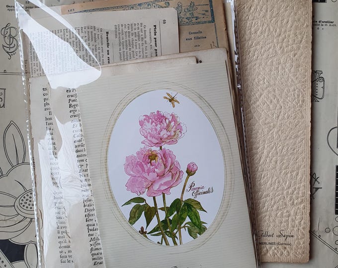 French Book Page Pack From Many Different Books in All Sizes and ...