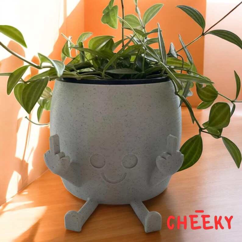 Cute Middle Finger Happy Planter | Kawaii Succulent Pot for Green ...