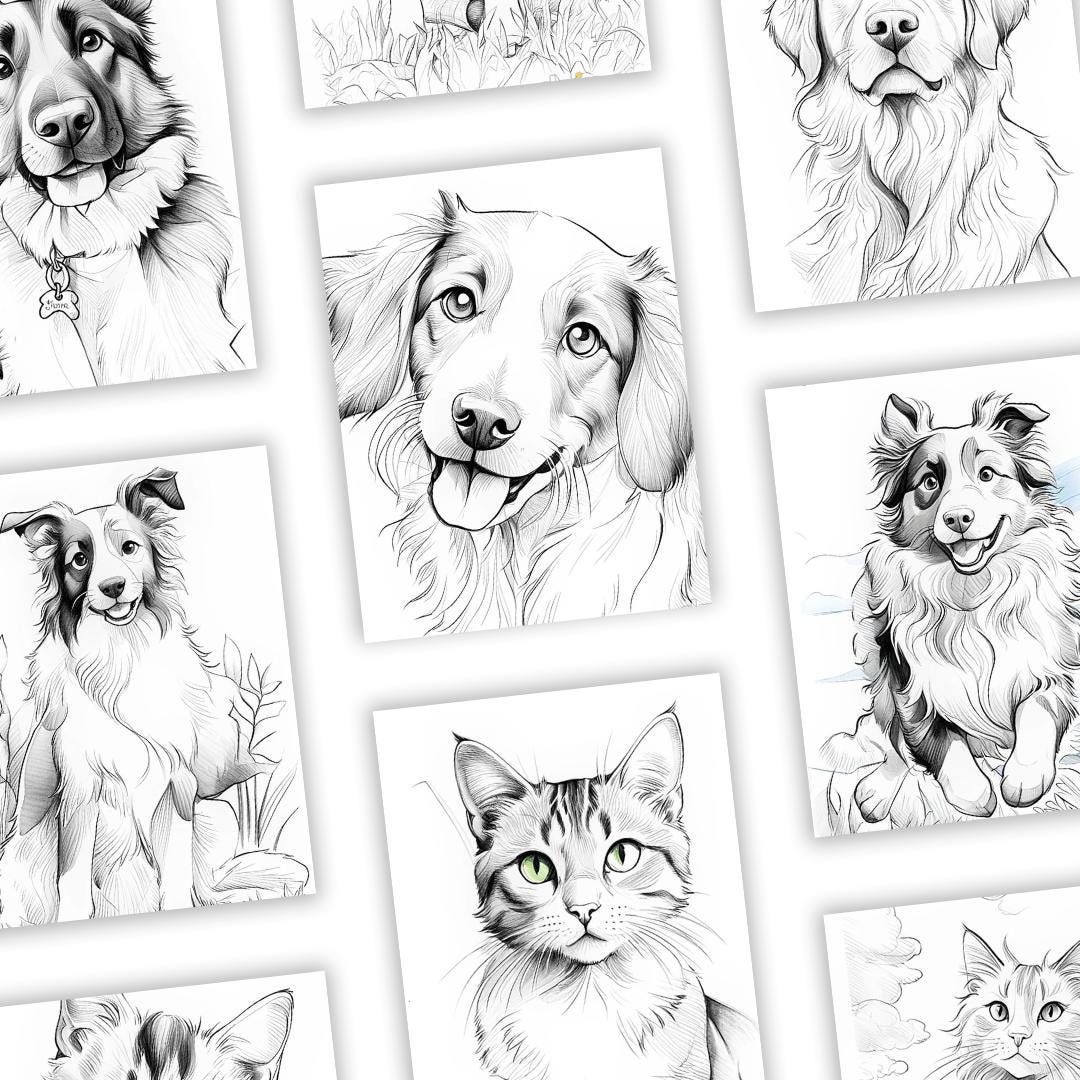 Custom Pet Sketch, Pet Line Drawing, Simple Pet Sketch, Digital Pet ...