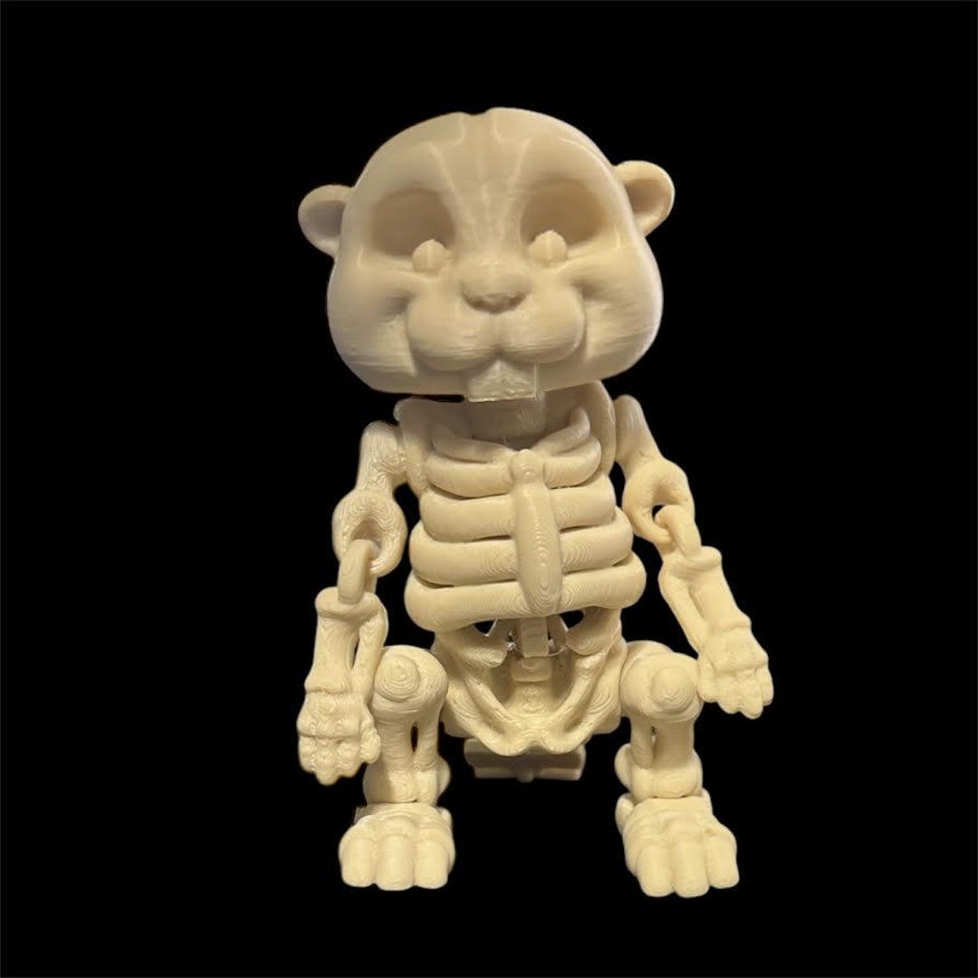 Flexible Skeleton Beaver 3D Printed - Etsy