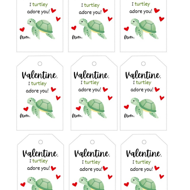 Turtle Valentine - Etsy