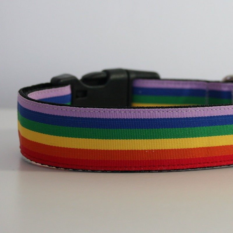 Rainbow Collar 3/4 - Etsy UK
