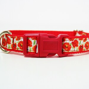 Poppy Dog Collar Lead Leash Seat Belt 3/4" or 1" Width - Etsy
