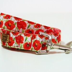 Poppy Dog Collar Lead Leash Seat Belt 3/4" or 1" Width - Etsy