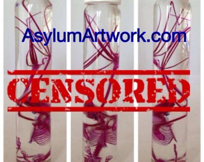 Diaphonized Bat Wet Specimen, Preserved Diaphonization Specimen, Mature ...