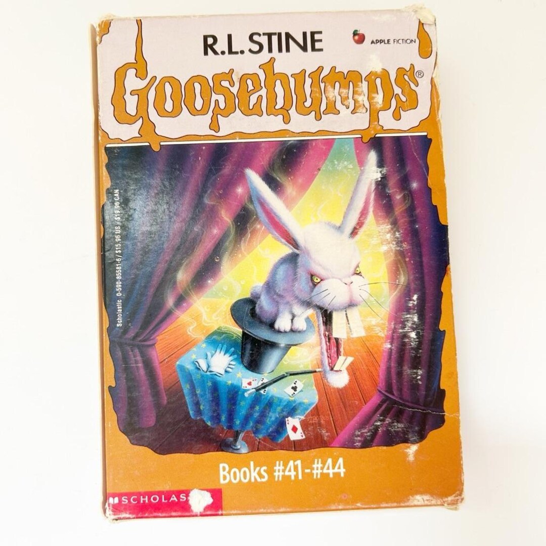 Vintage Scholastics Goosebumps Book Lot Fr the 90’s 4 Book Box Set - Etsy