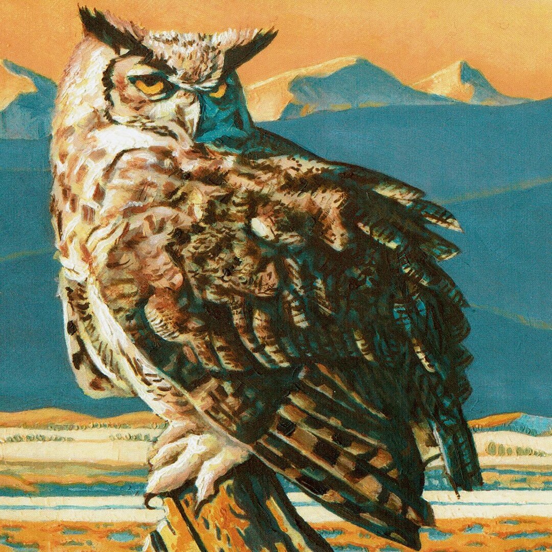 Competitors, Blank Art Note Card and Envelope From Wildlife/landscape ...