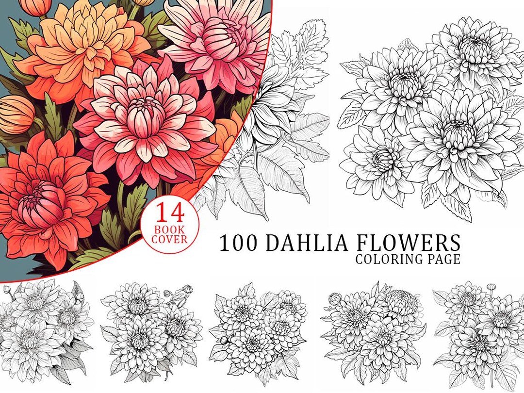 Dahlia Flowers Coloring Pages: Adults & Kids Greyscale Art (printable ...
