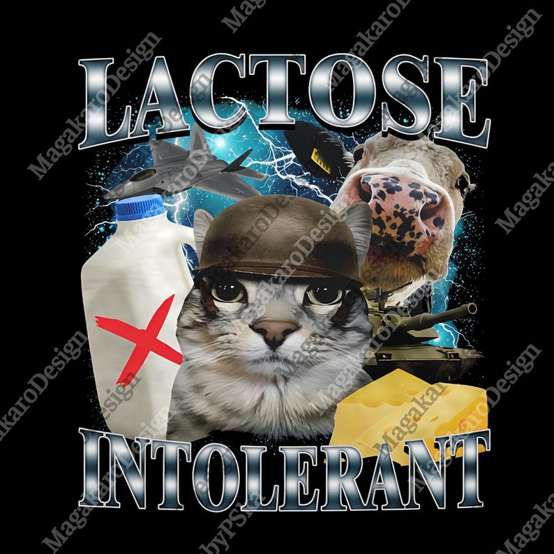 Lactose Intolerant Silly Cat Meme Funny Saying Cats Png, Stupid Shirt ...