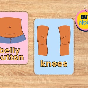 Printable Body Parts Flashcards for Kids | Toddler Learning Cards ...