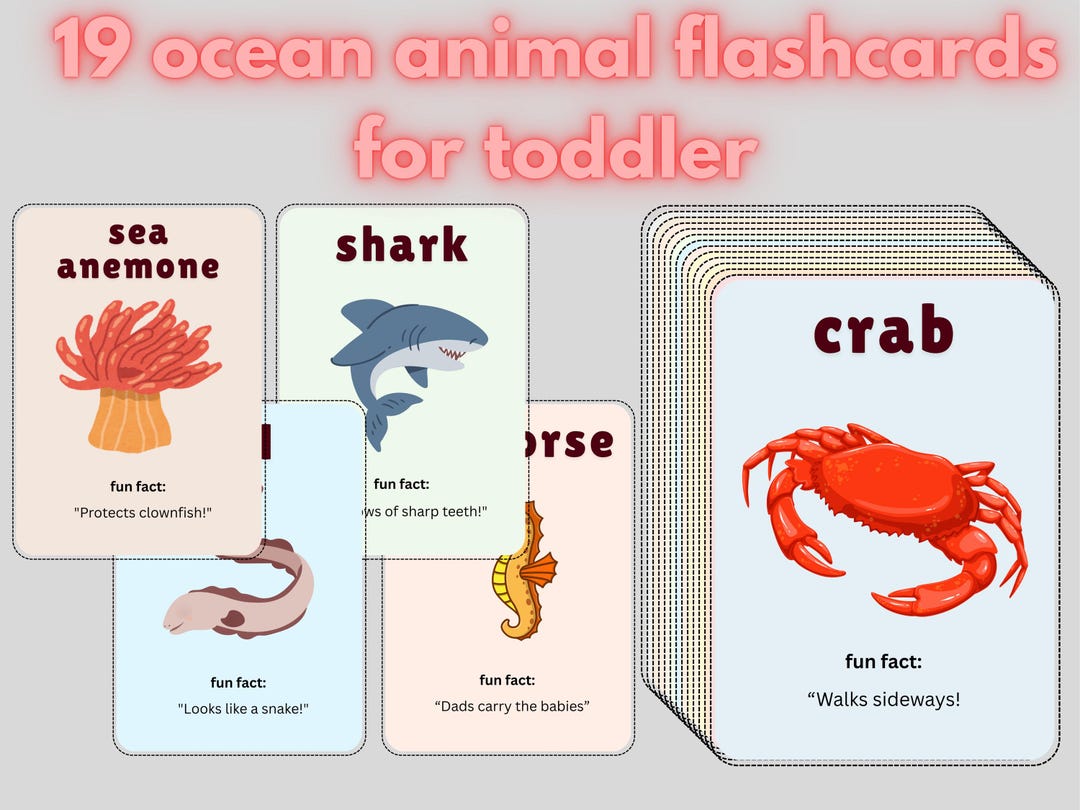 Ocean Animals Flashcards for Kids, Sea Animal Fun Facts Printable ...