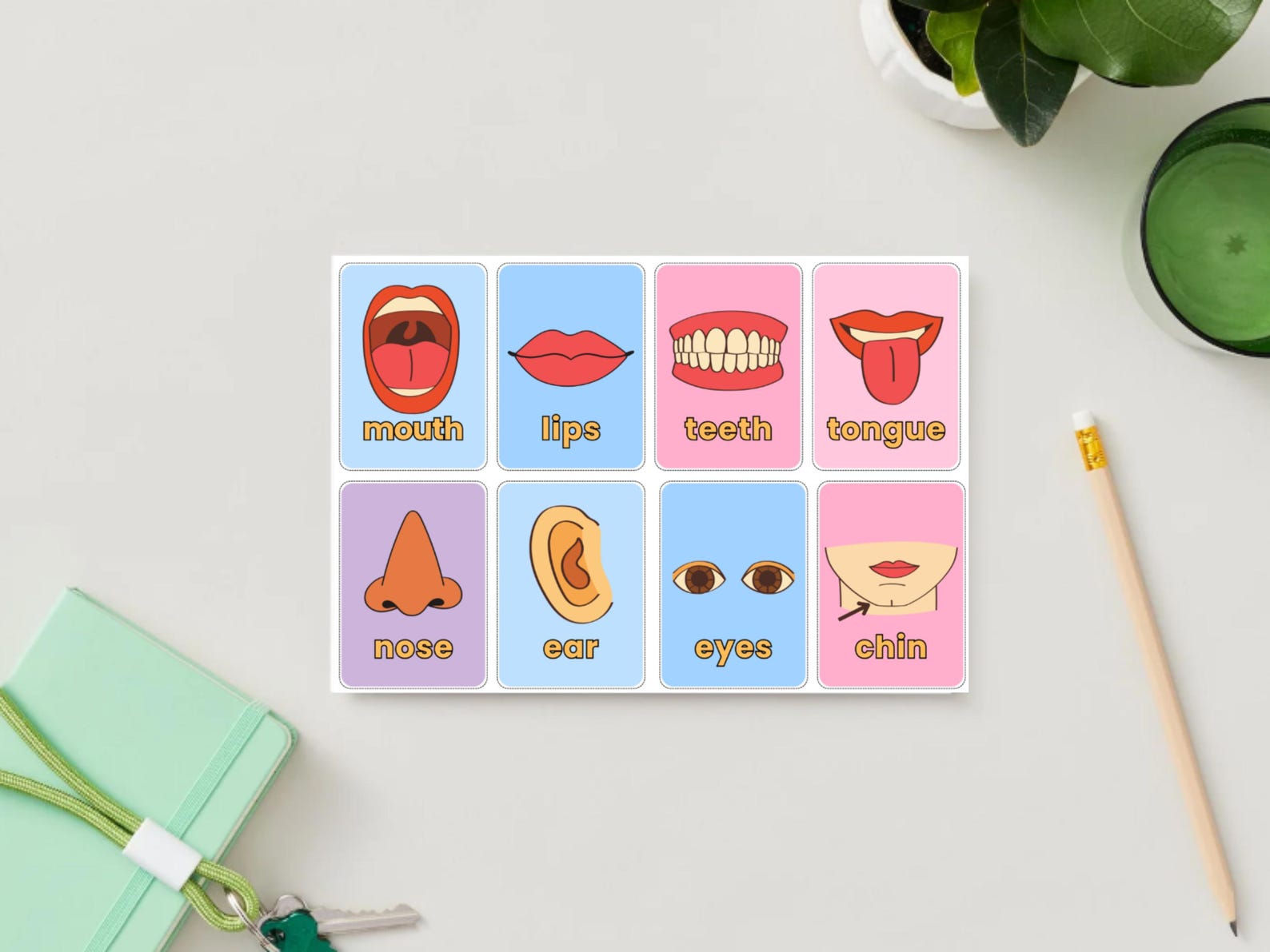 Printable Body Parts Flashcards for Kids | Toddler Learning Cards ...